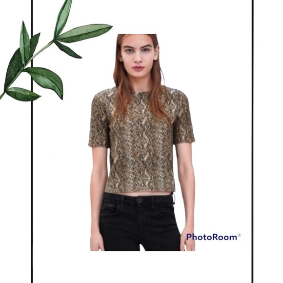 Zara | Tops | Zara Trafaluc Womens Snakeskin Cropped Top | Poshmark